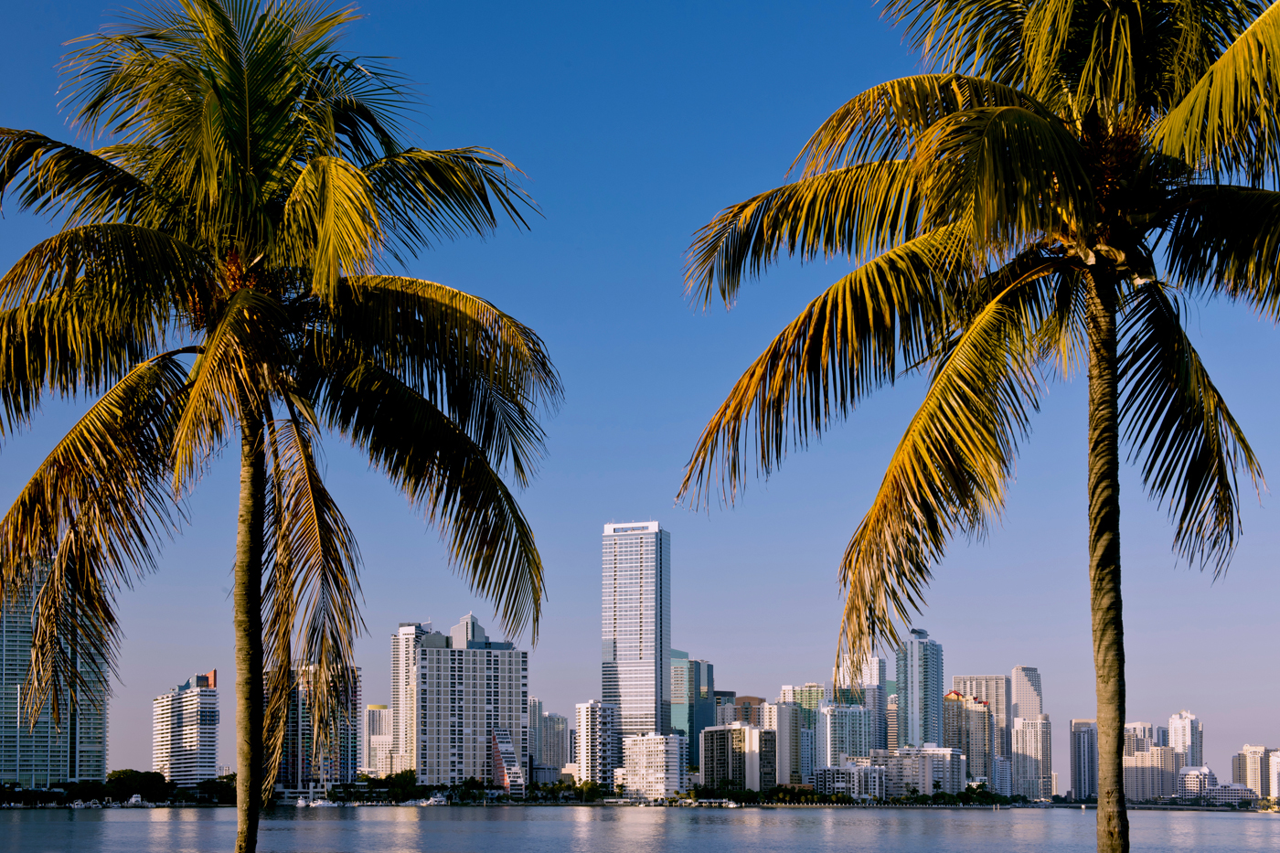 Next Stop... Miami!! - Medicine & Manicures
